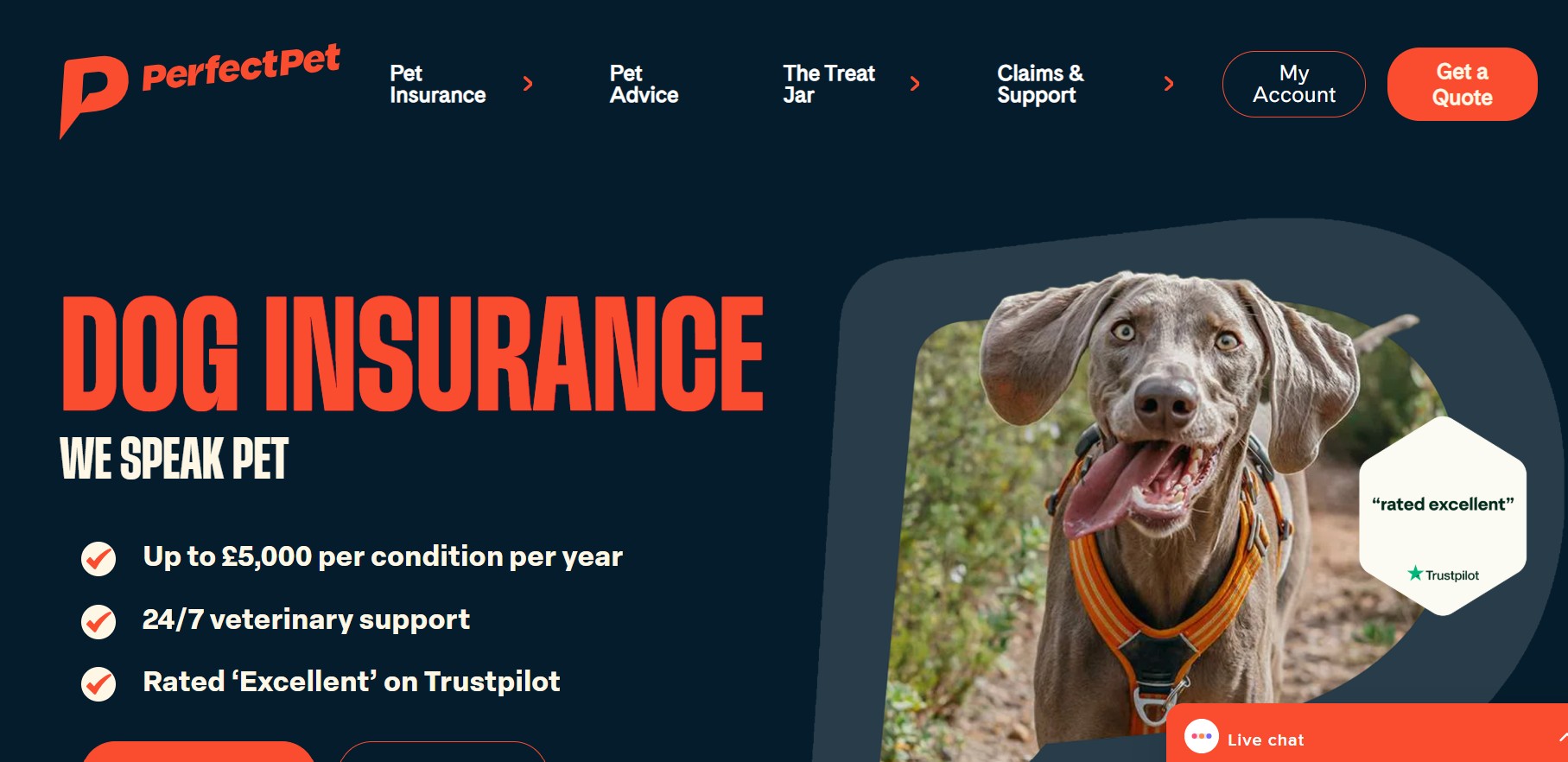 Best Dog Insurance Companies in the UK 2026 | Top 12 Ranked!